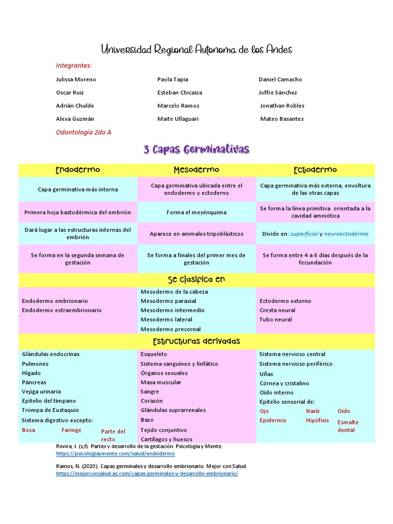 Las tres capas germinativas y sus estructuras derivadas | PDF | Embrión ...