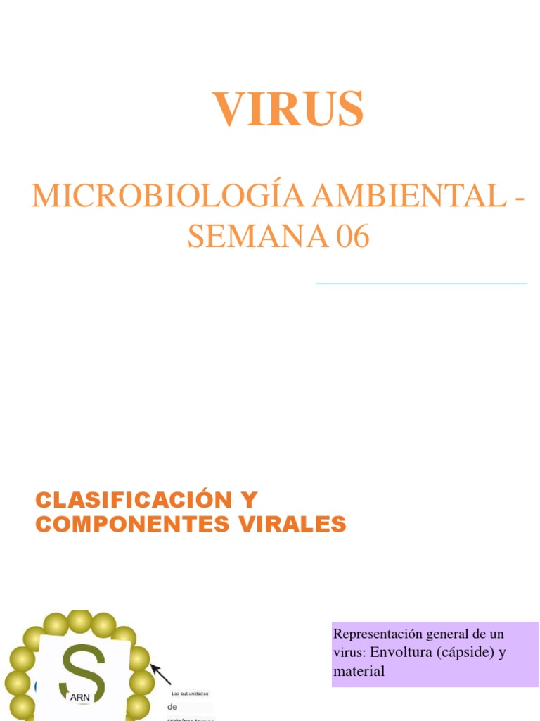 Virus | PDF | Virus | Bacteriófago