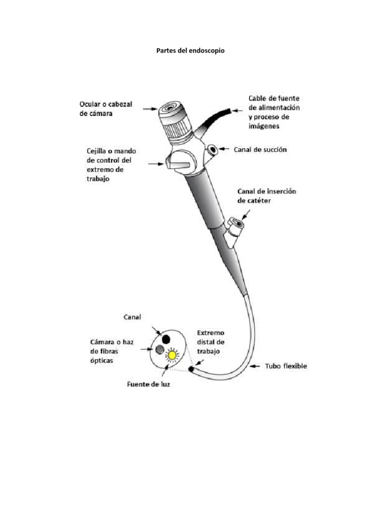 Endoscopio | PDF | Bomba | Endoscopia