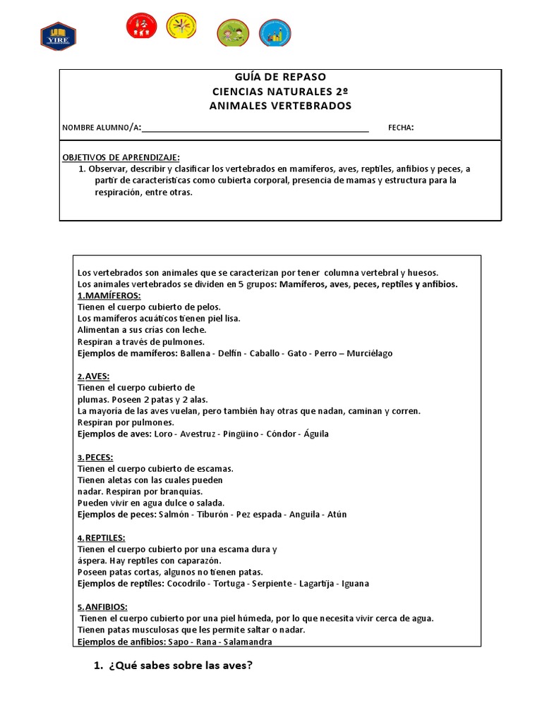 CIENCIAS NATURALES Animales Vertebrados 2do Basico Guia de Repaso | PDF