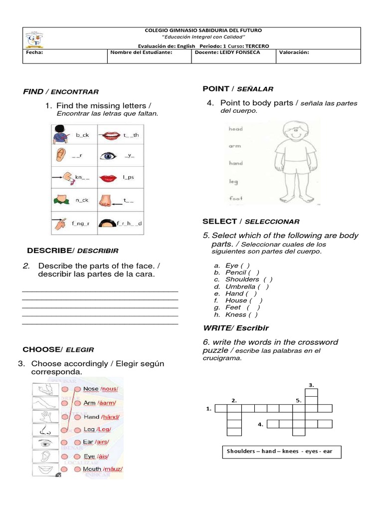 English Eva 3° | PDF