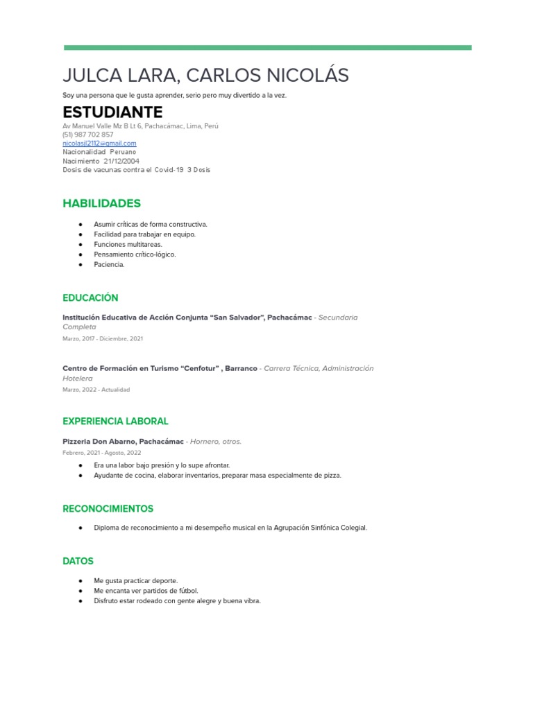 CV de Carlos Nicolás Julca Lara | PDF