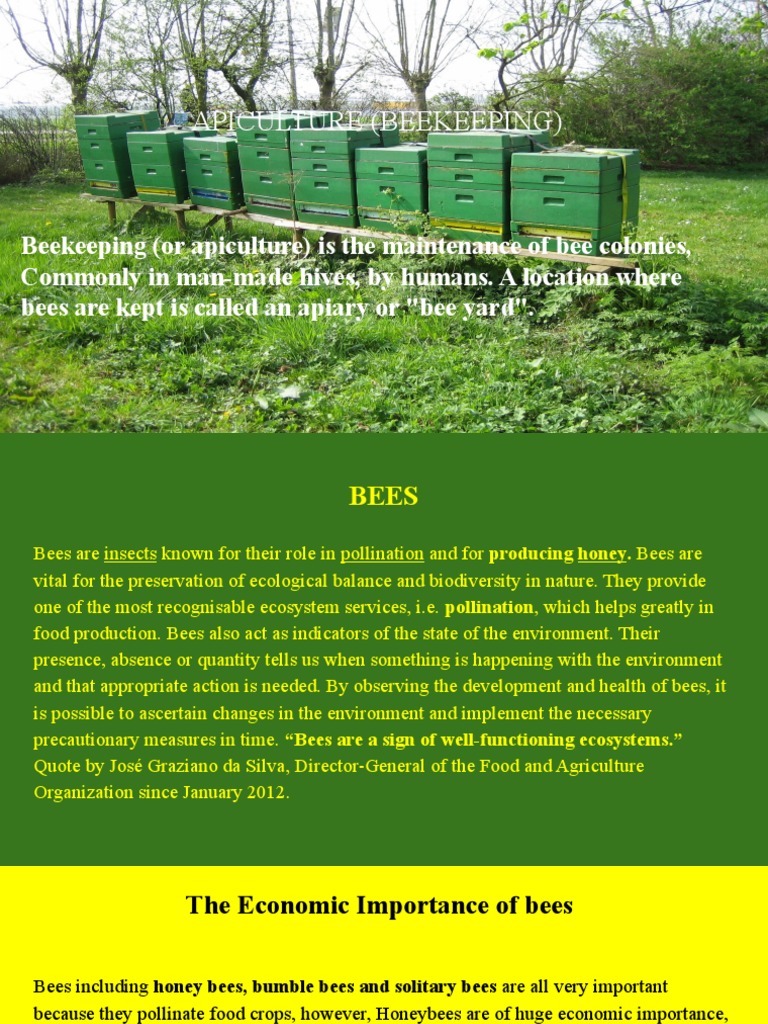 Apiculture Presentation | PDF | Honey | Honey Bee