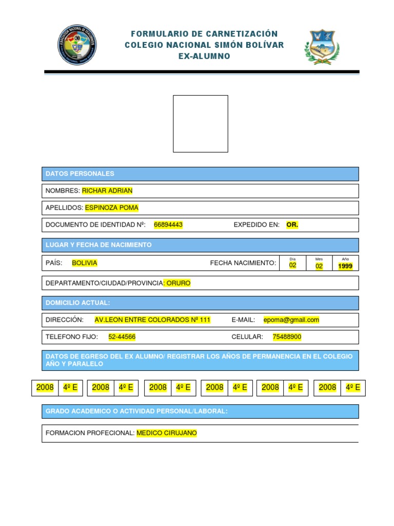 EJEMPLO DE LLENADO DEL FORMULARIO | PDF