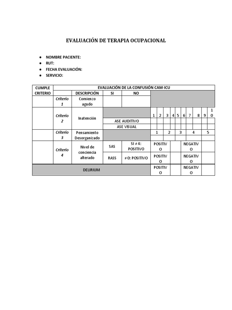 Formato Cam Icu | PDF