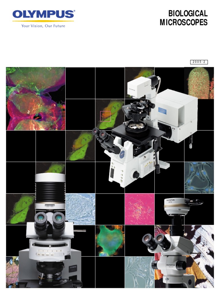 Biological Microscopes 2005 - 2 | PDF | Microscopy | Confocal Microscopy
