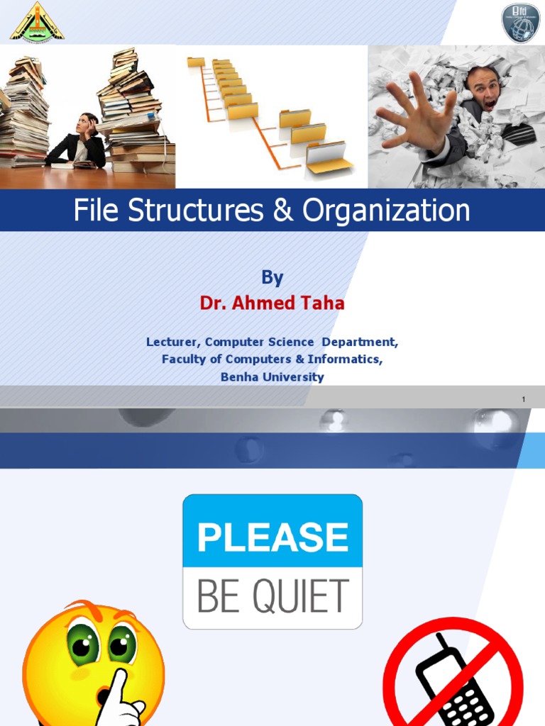 Organizing Files For Performance | PDF | Computer File | Data