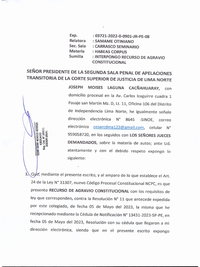 Laguna Cacnahuaray, Joseph Moises | PDF