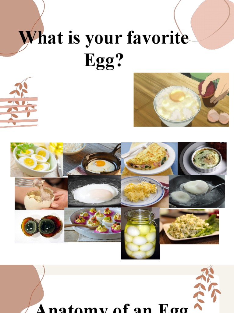 Anatomy of An Egg | PDF | Yolk | Egg