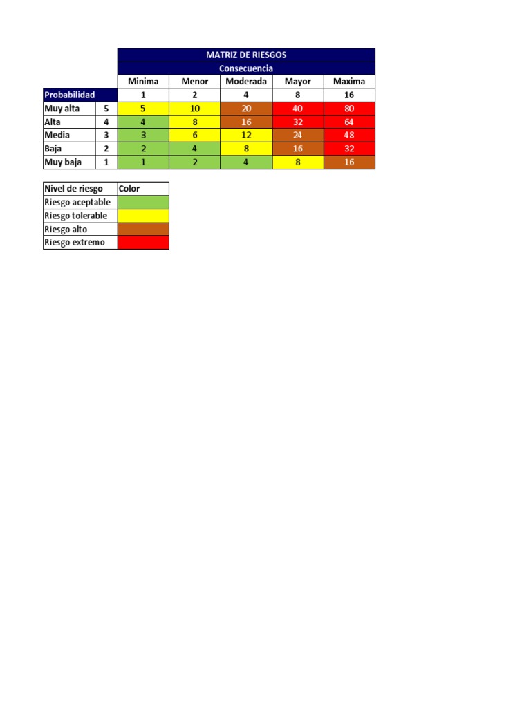 Matriz Riesgos 50162 | PDF