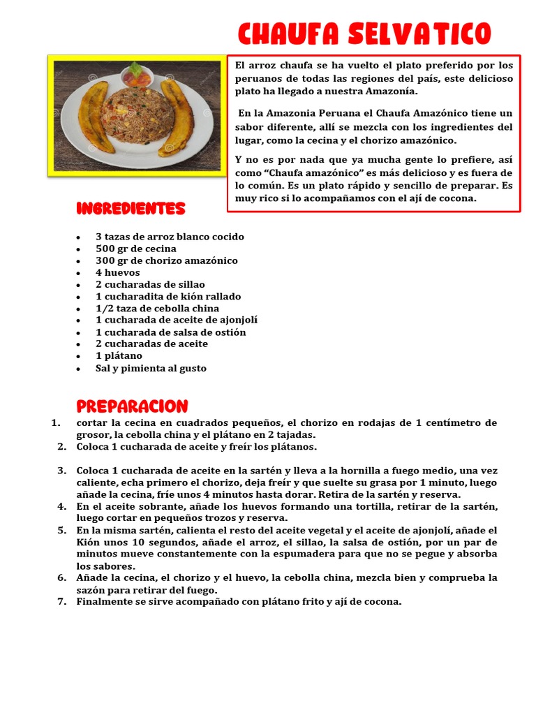 Chaufa Selvatico Exposicion (1) | PDF