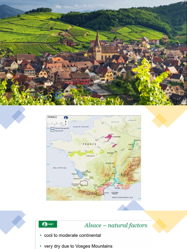 Alsace Wi̇ne | PDF | Wine | Fermented Drinks