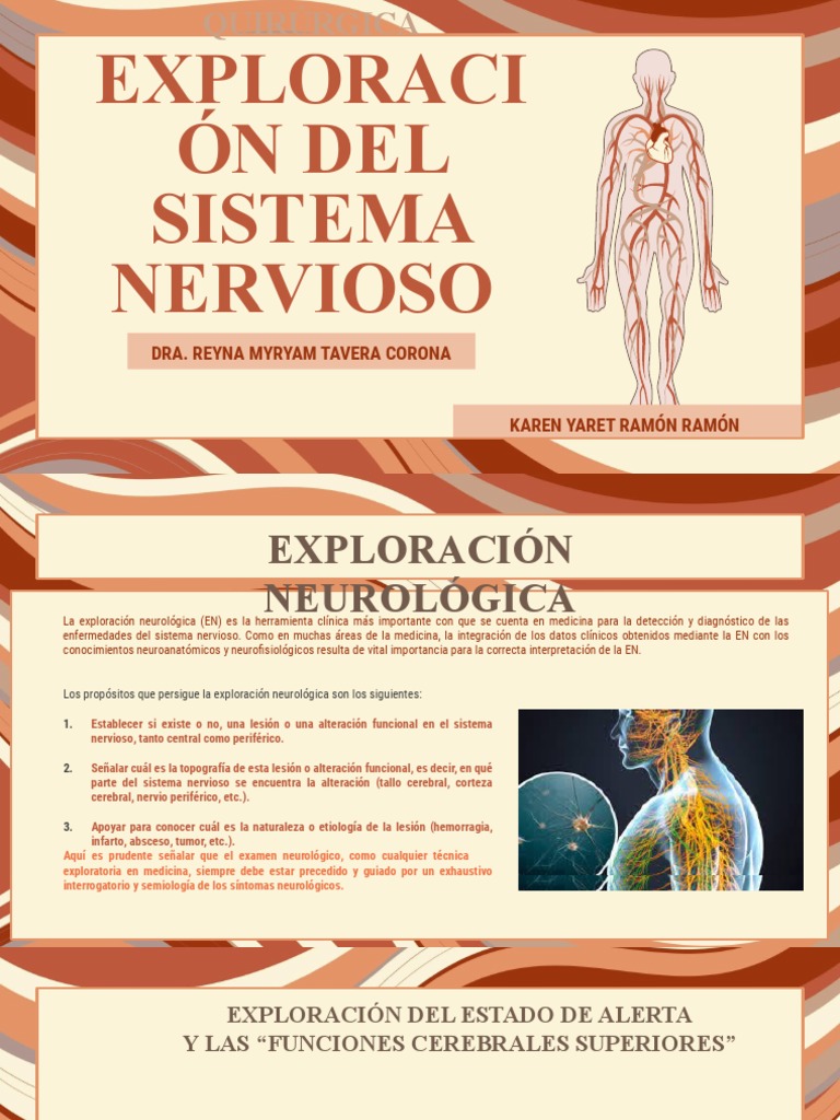 Exploración Del Sistema Nervioso | PDF | Neurología | Anatomía humana