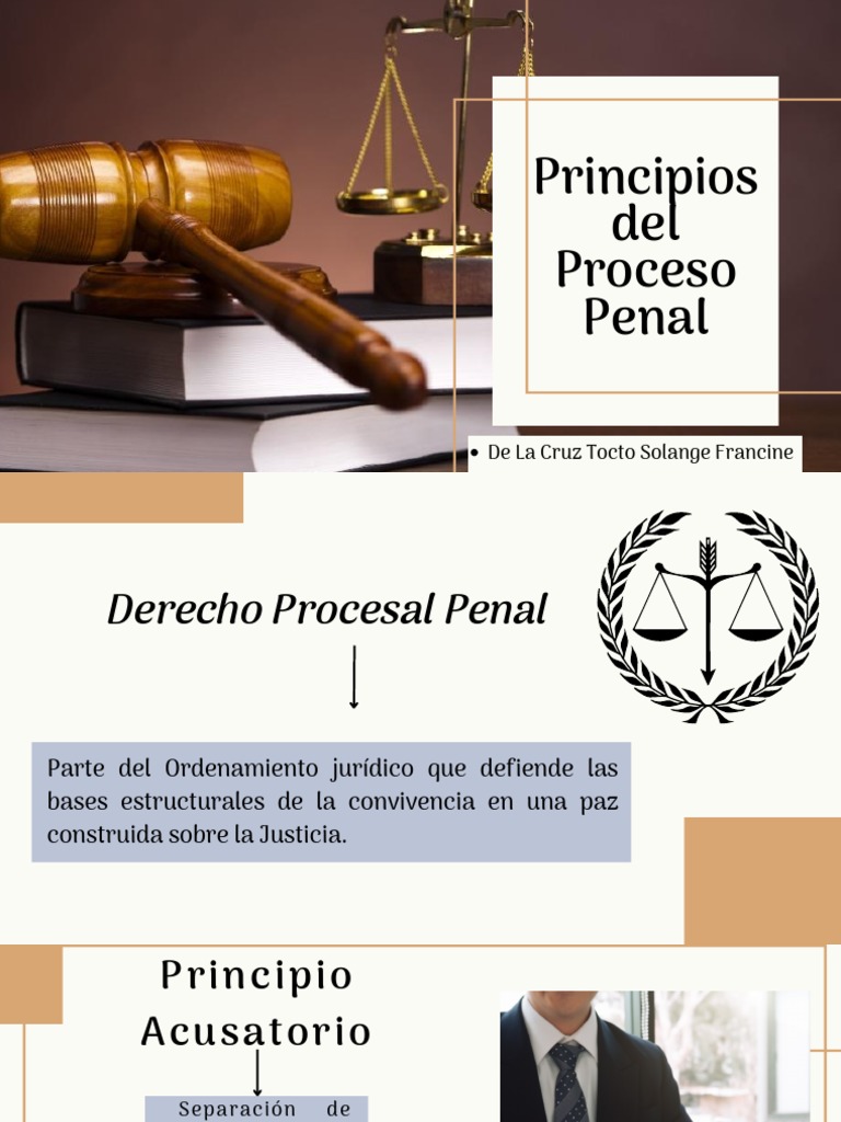 Principios Del Proceso Penal | PDF | Procedimiento Criminal | Derecho penal