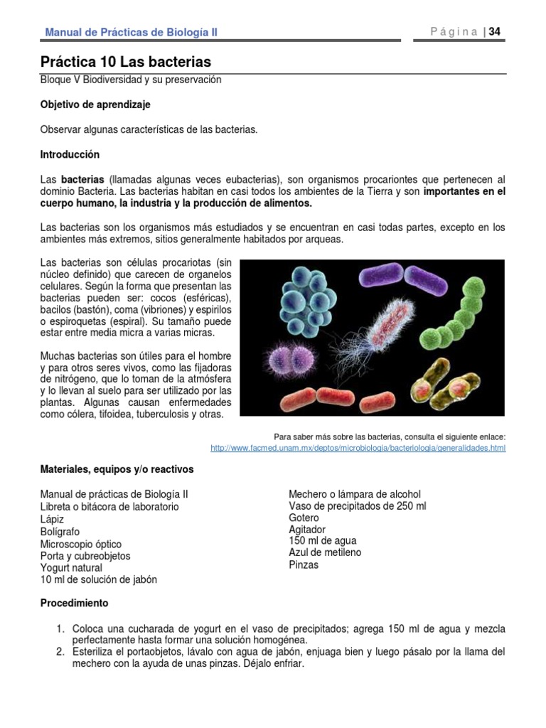 Páginas de MANUAL DE BIOLOGIA II 23-A | PDF
