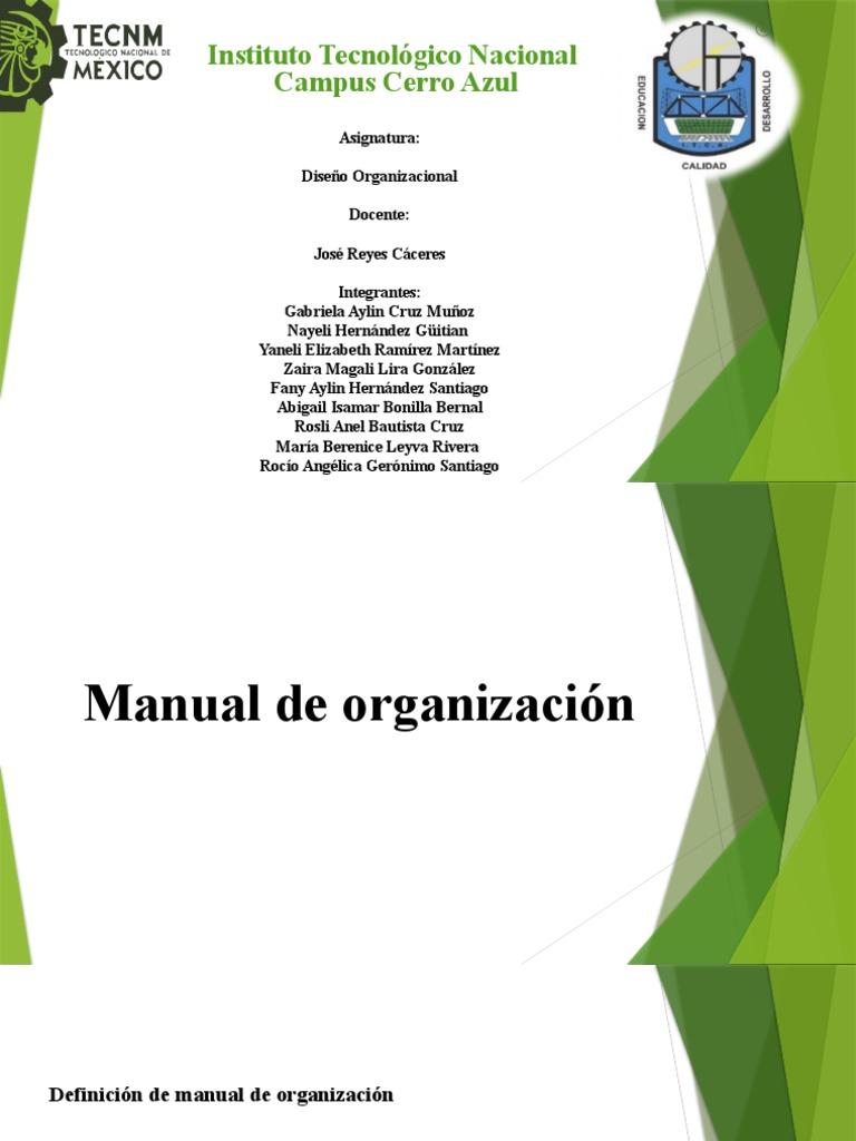 MANUAL DE ORGANIZACIÓN | PDF