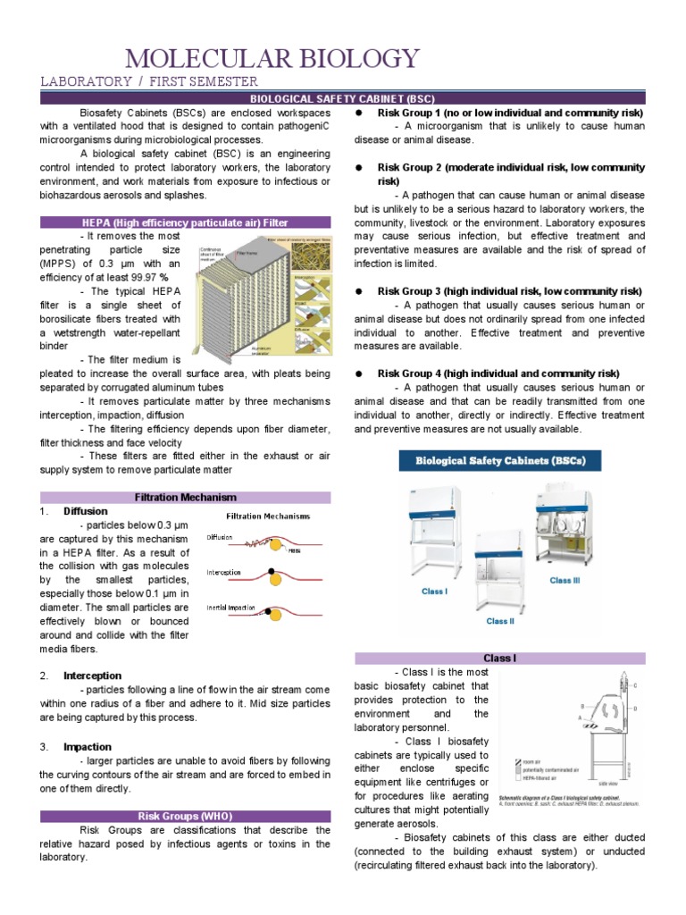 BSC Trans | PDF | Chemistry | Physical Sciences