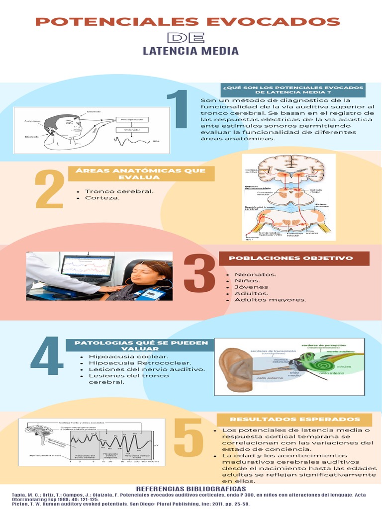 Potenciales Evocados Latencia Media | PDF