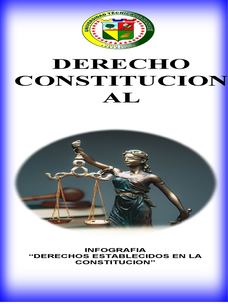 Infografia Derecho Constitucional | PDF