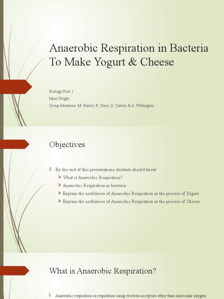 Anaerobic Respiration in Bacteria To Make Yogurt & Cheese | PDF