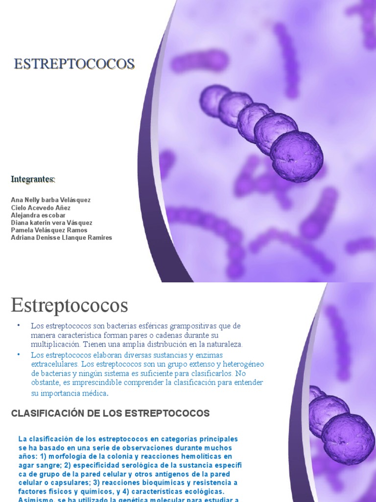 ESTREPTOCOCOS | PDF