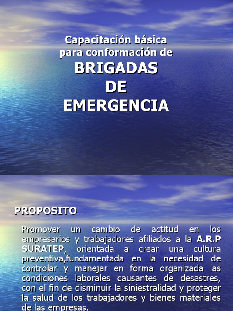 Conformacion de Brigadas | PDF | Primeros auxilios | Búsqueda y rescate