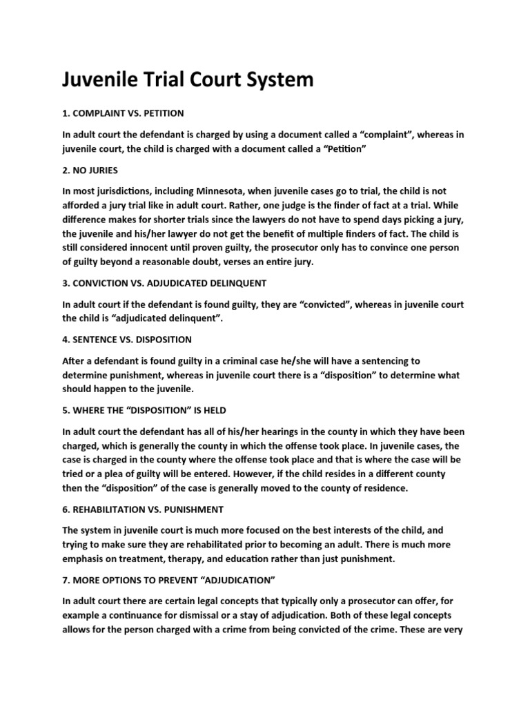 Juvenile Court System | PDF