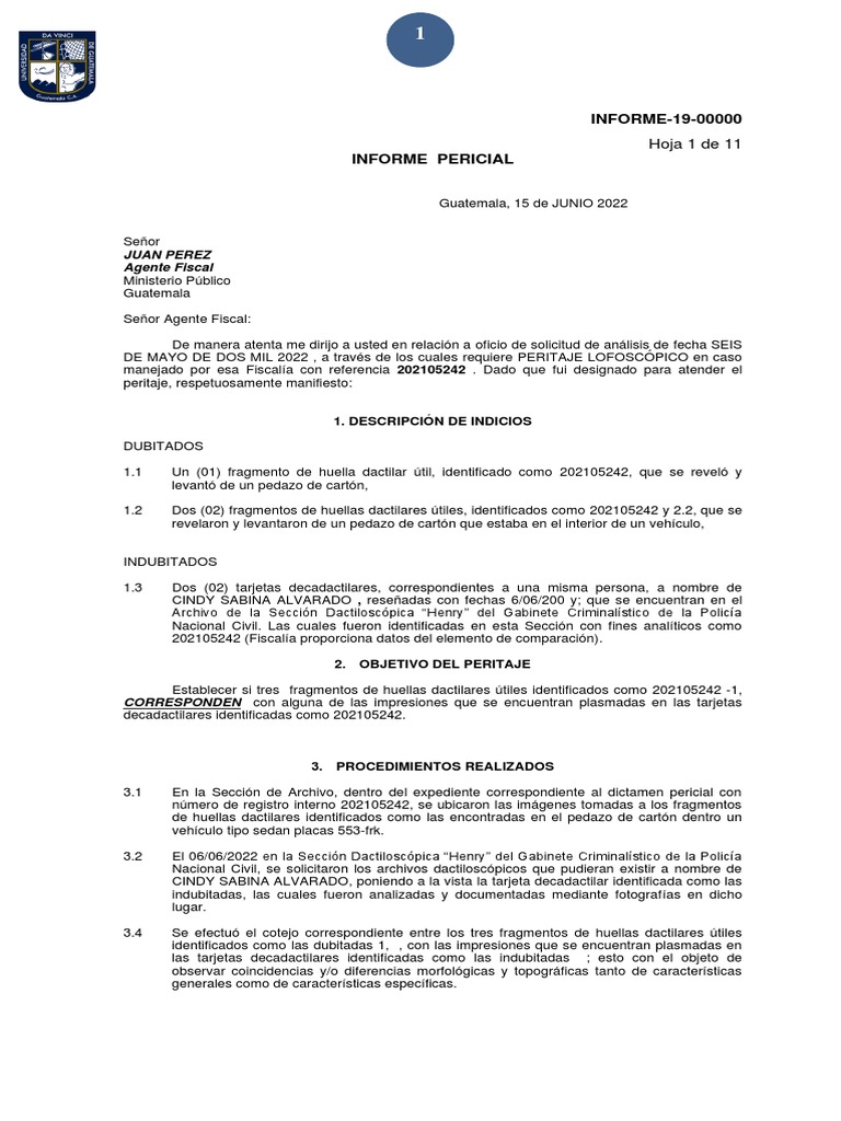 Formato Informe Pericial | PDF | Huella dactilar