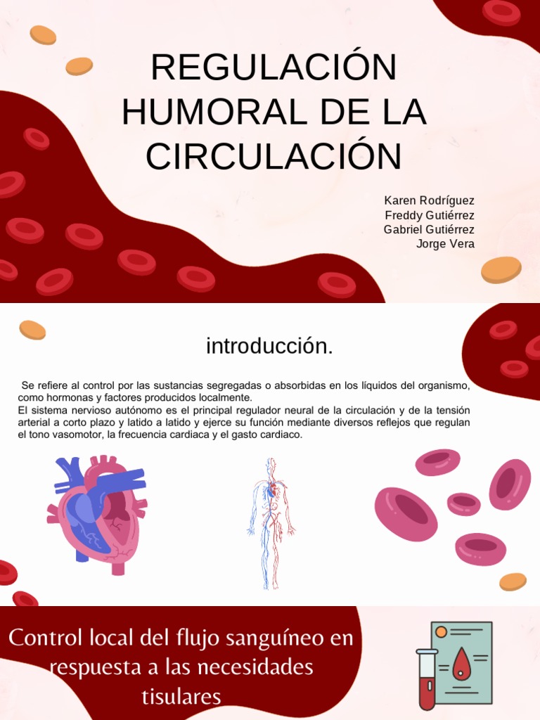 Regulacion Humoral de Circulacion | PDF | Angiogénesis | Endotelio