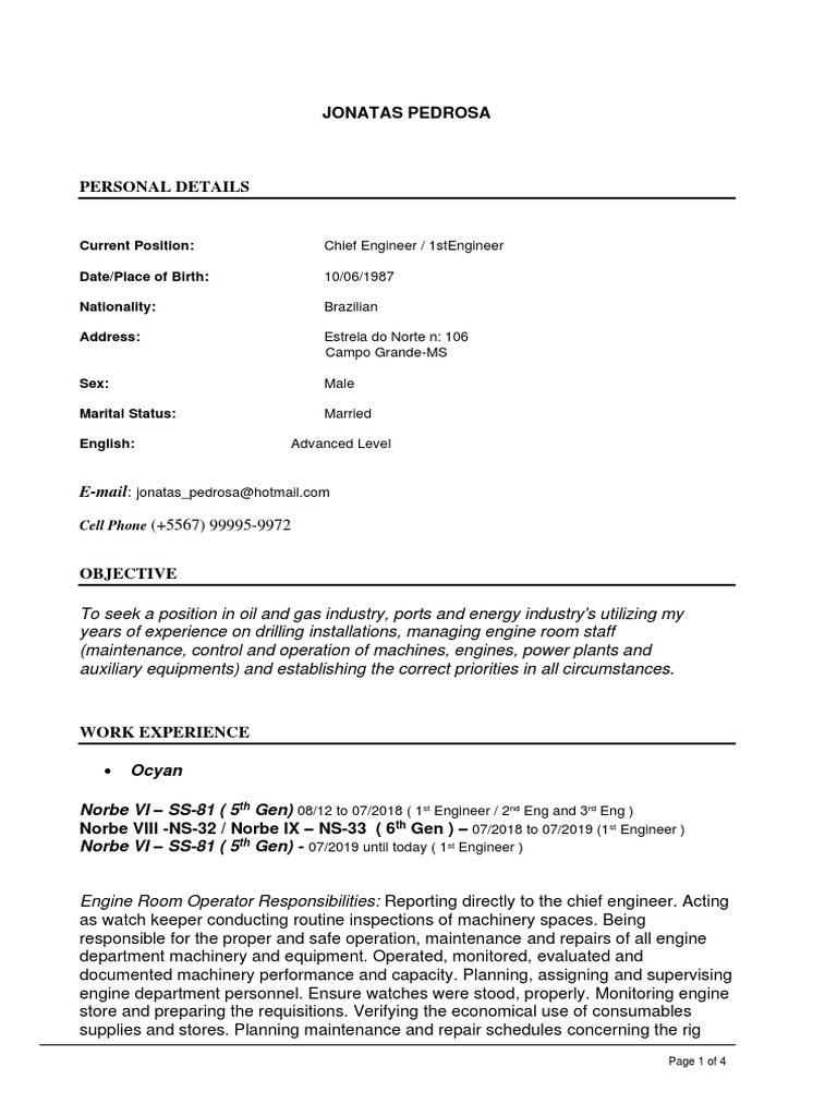 CV - JP English Foolish | PDF