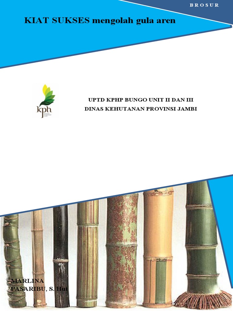 Brosur 1 Kiat Sukses Bertanam Bambu | PDF