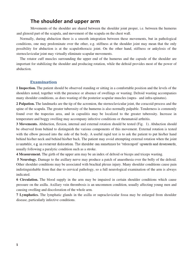 The Shoulder and Upper Arm | PDF