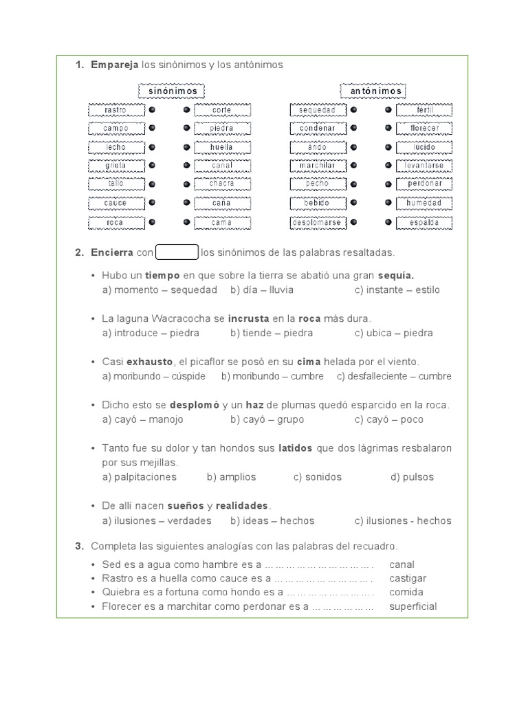 Sinonimos y Antonimos | PDF