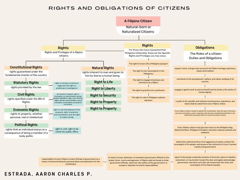 Concept Mapping | PDF