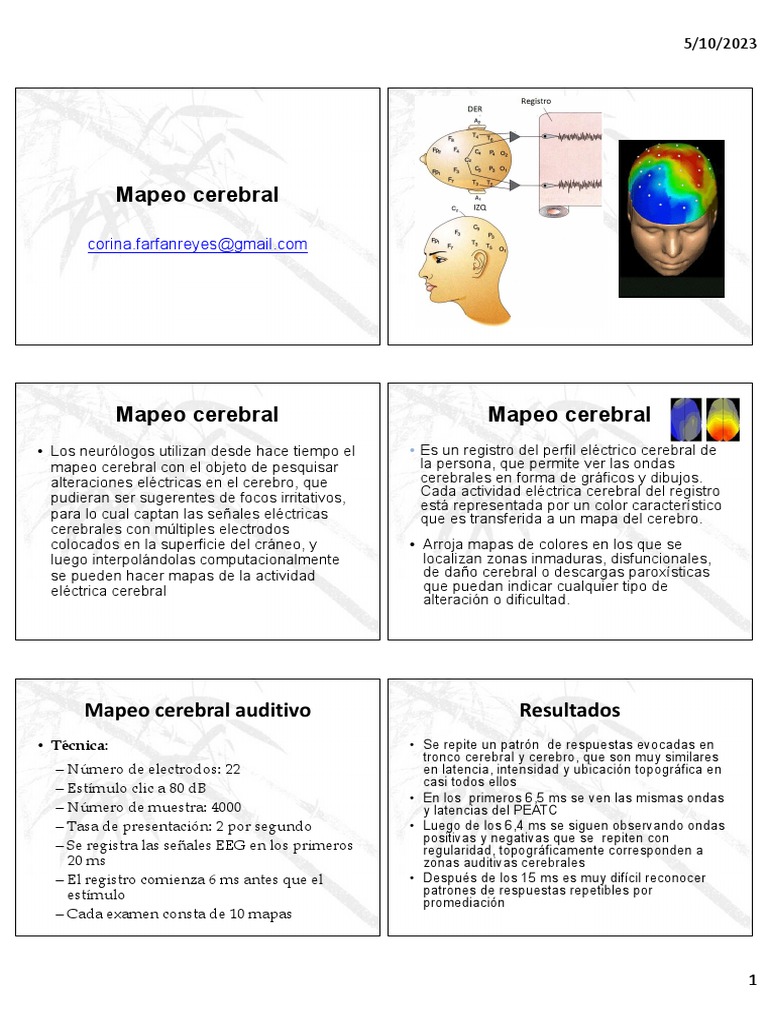 Mapeo Cerebral | PDF