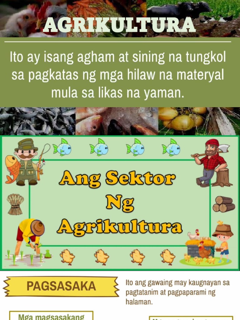 Sektor NG Agrikultura Notes | PDF Sektor NG Agrikultura Notes | PDF