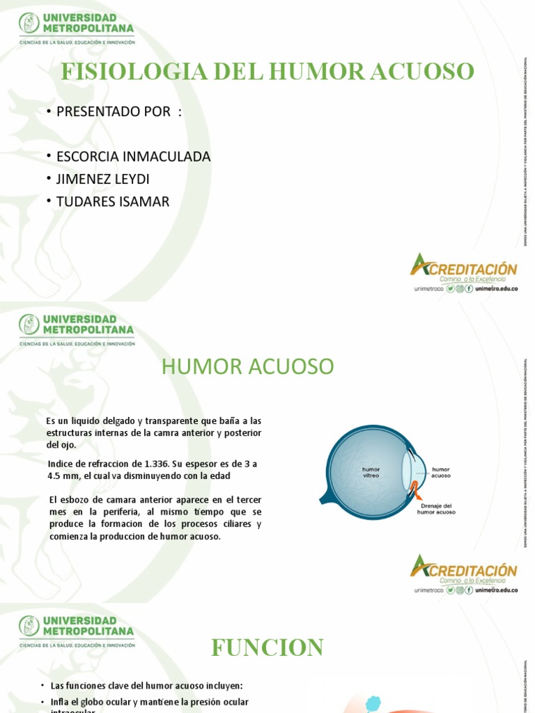 Fisiologia Del Humor Acuoso | PDF | Ojo humano | Epitelio