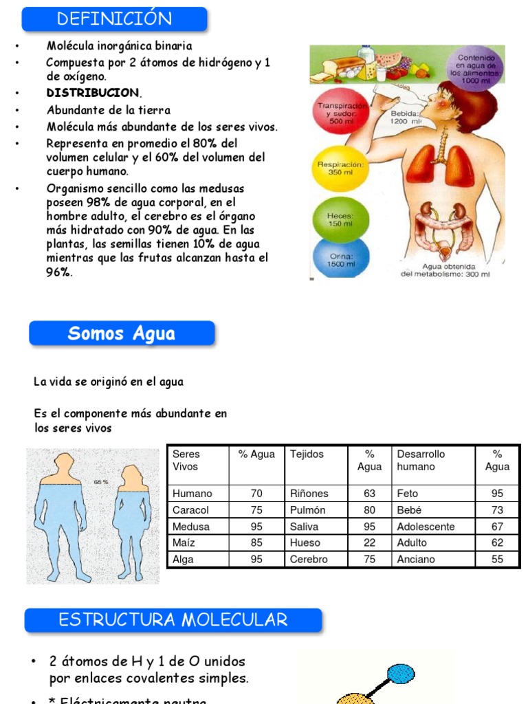 El Agua | PDF