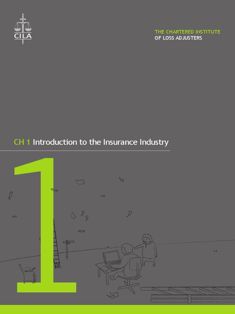 Introduction To The Insurance Industry | PDF