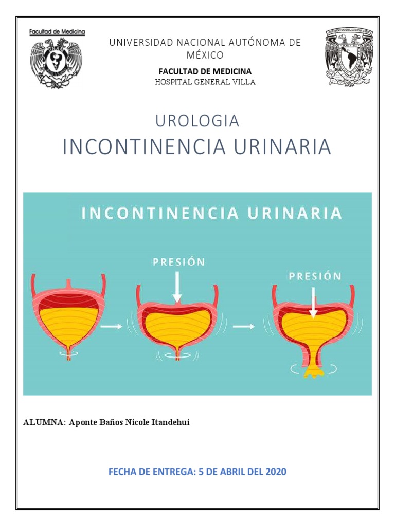 Incontinencia Urinaria | PDF | Vejiga urinaria | Micción
