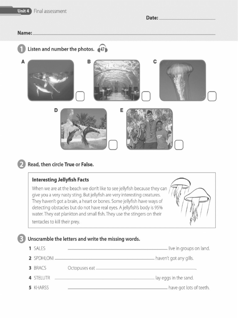 Unit 4 Final Assessment.docx | PDF