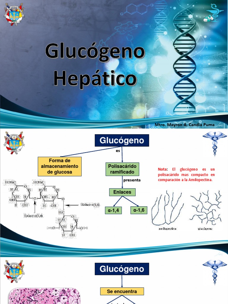 Practica 6 - Glucogeno Hepatico | PDF | Glucógeno | Biomoléculas