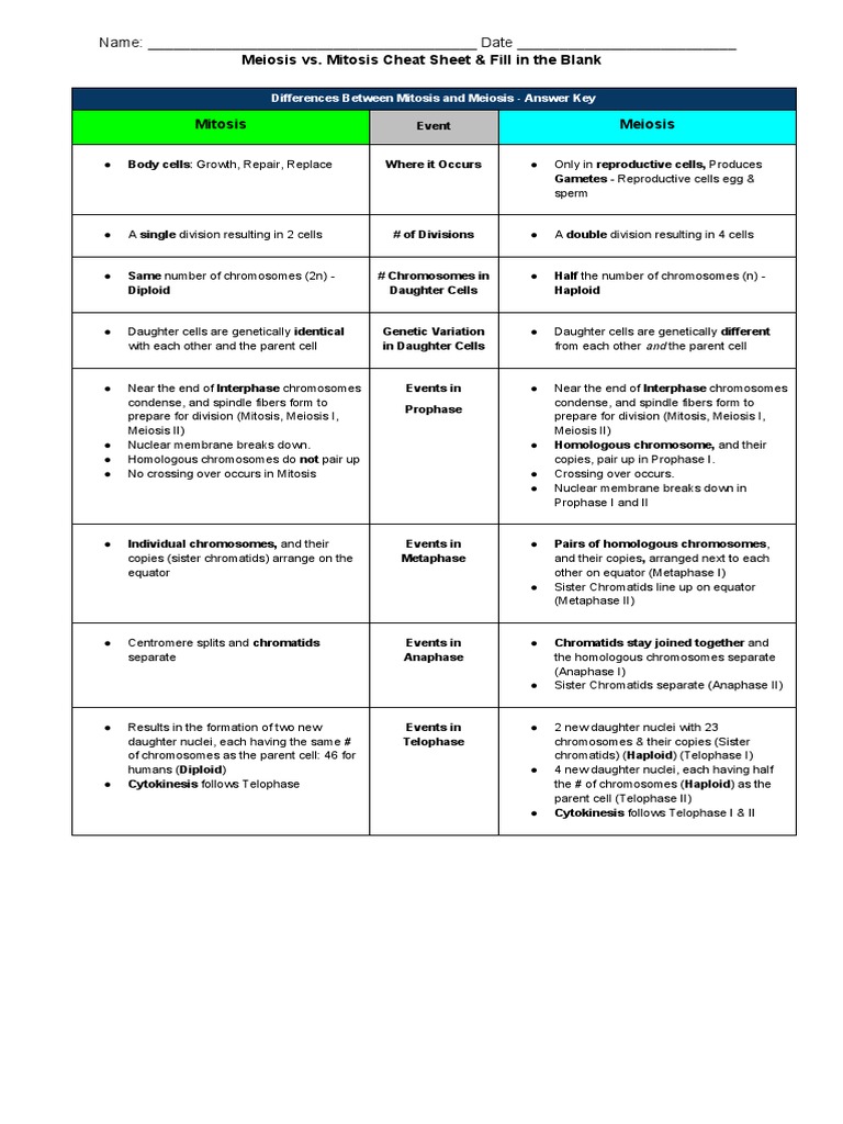7LL Meiosis Summary Cheat Sheet - 2018 Public | PDF | Meiosis | Mitosis