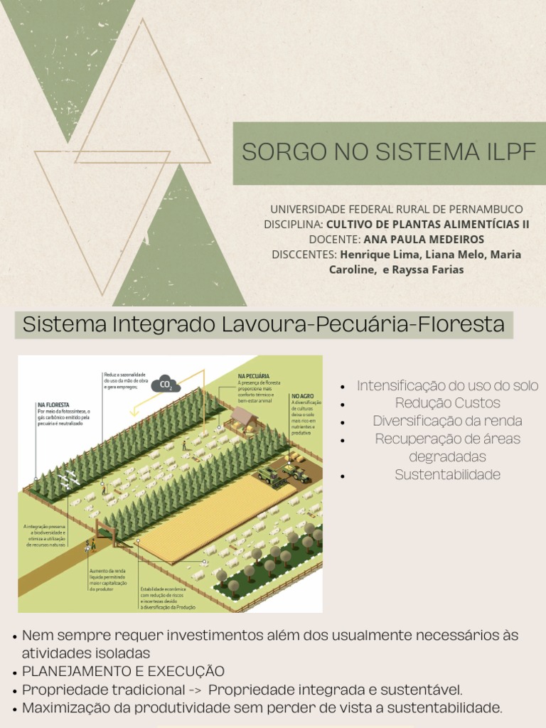 Sistema Ilpf | PDF
