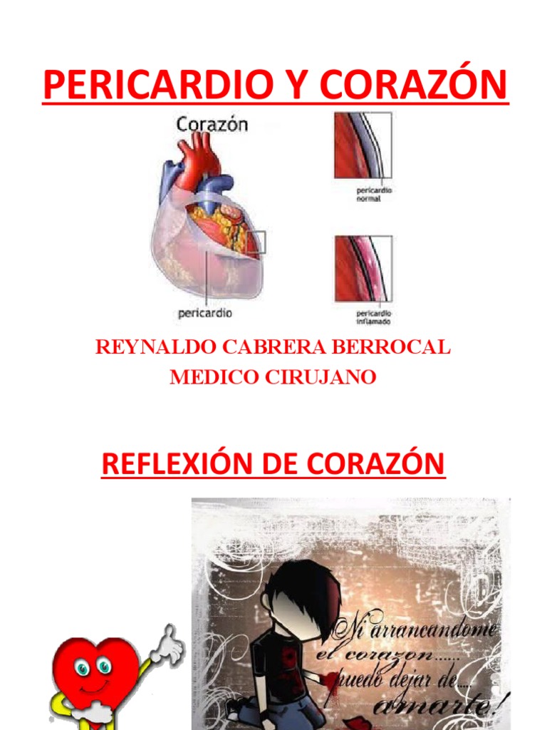 Anatomía del Pericardio y Corazón | PDF | Anatomía humana | Órgano ...