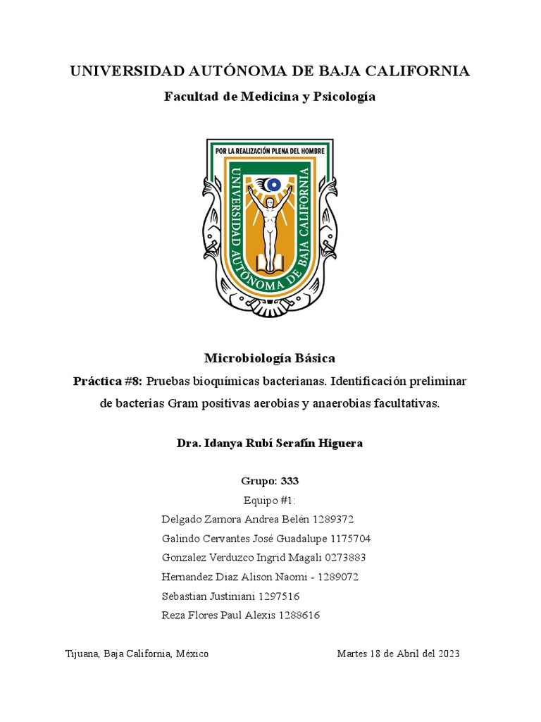 Morfología y Pruebas de Bacterias Gram+ | PDF | Staphylococcus Aureus ...