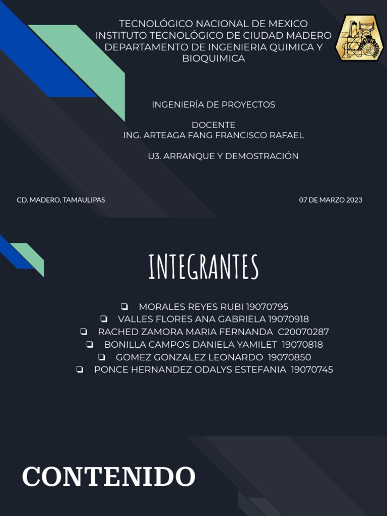 U3 Ing Proyectos | PDF