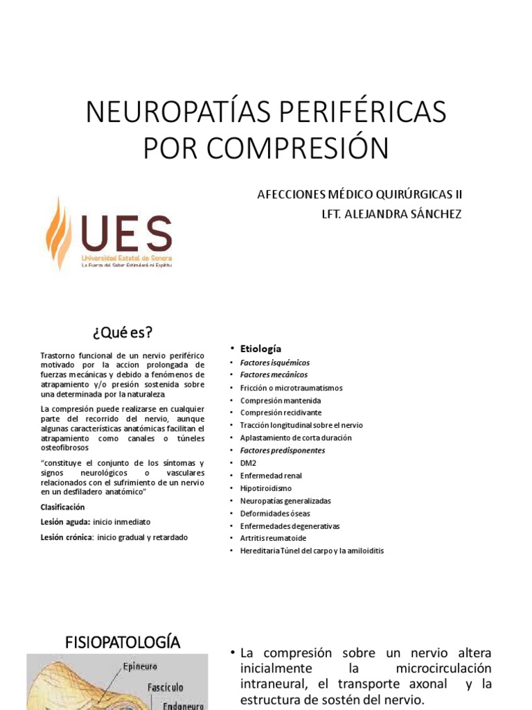Neuropatías Periféricas por Compresión | PDF