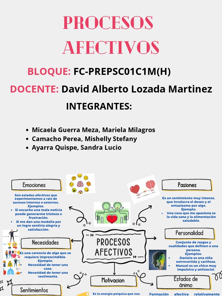 Procesos Afectivos | PDF