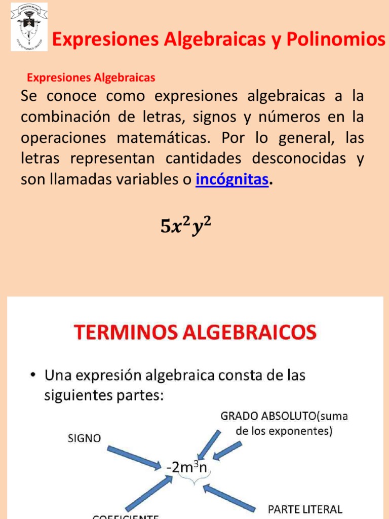Ejemplos de Expresiones Algebraicas | PDF
